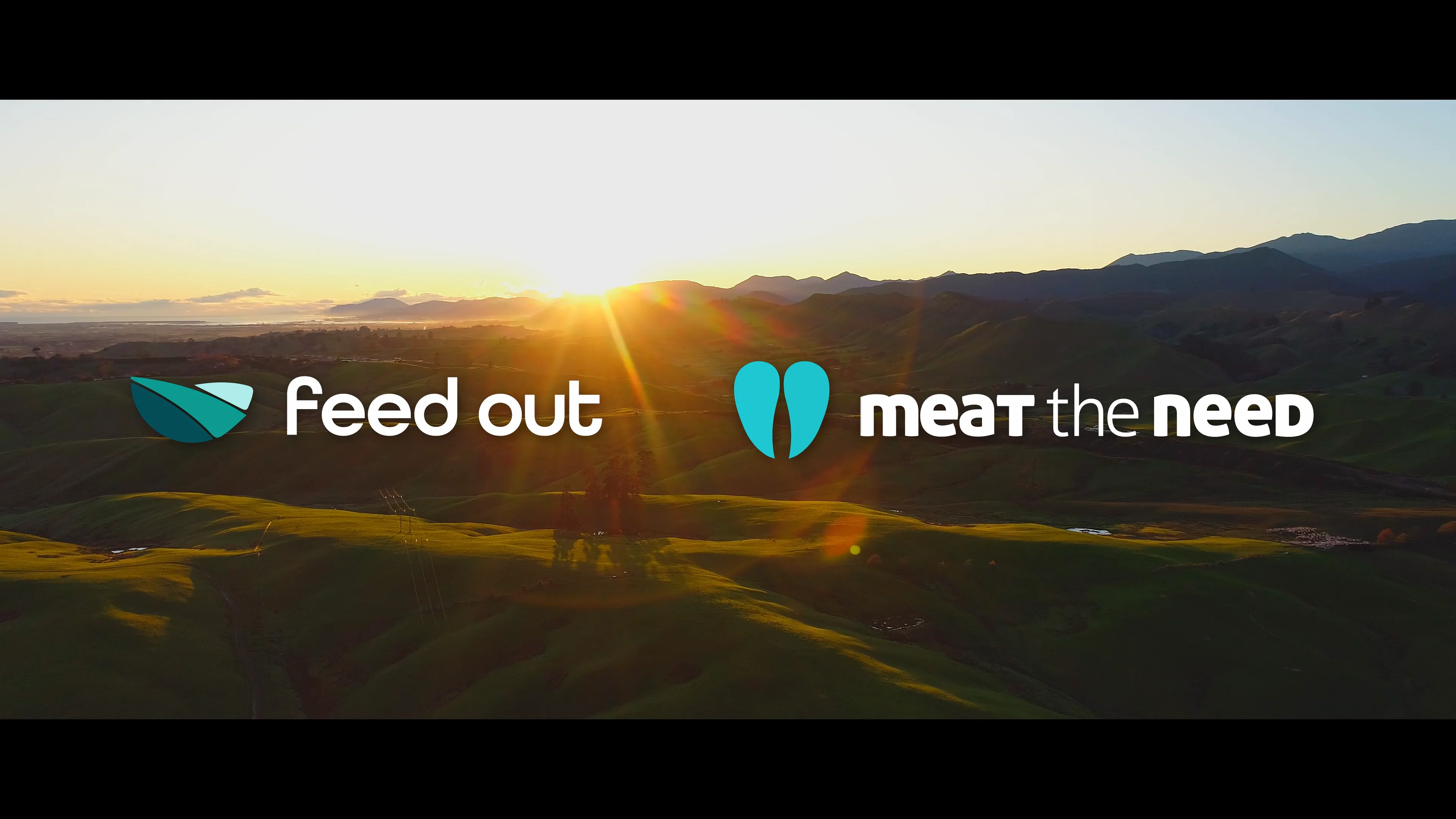 Meat The Need Promo 2023