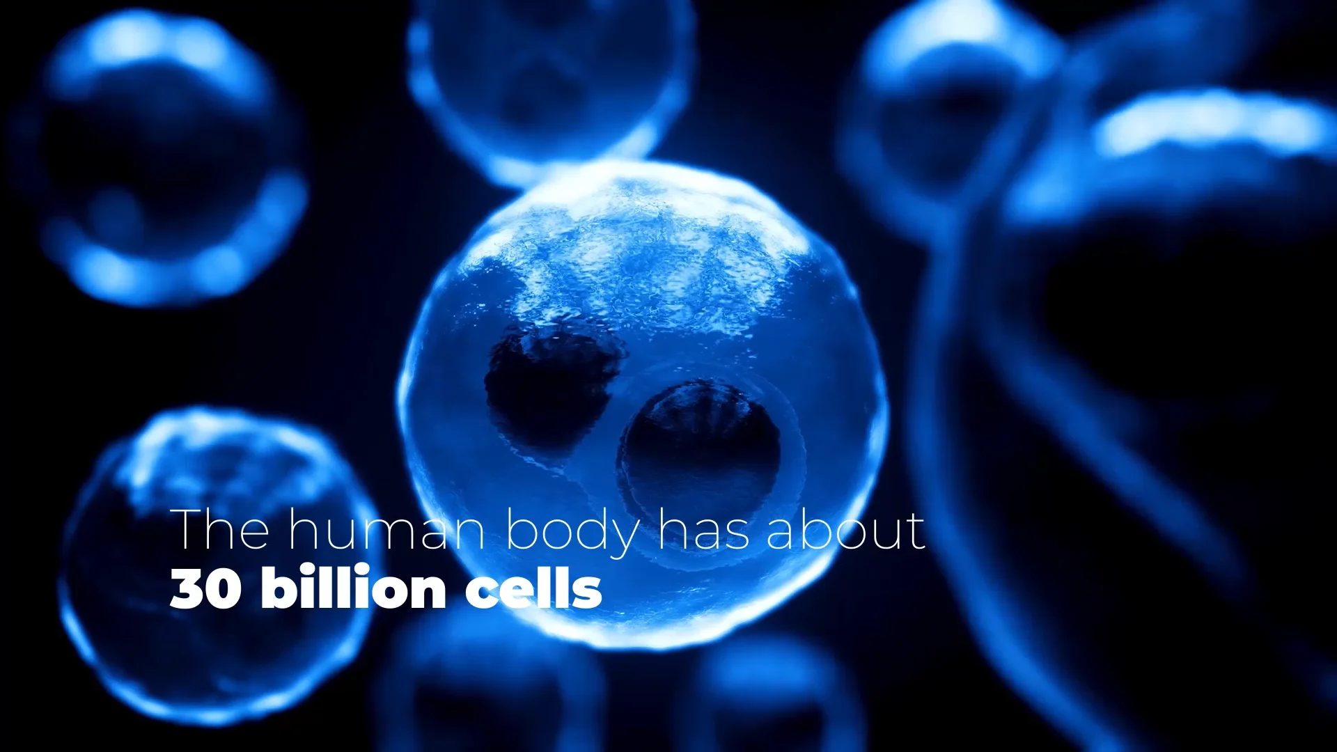 Medicineone - Health made simple on Vimeo