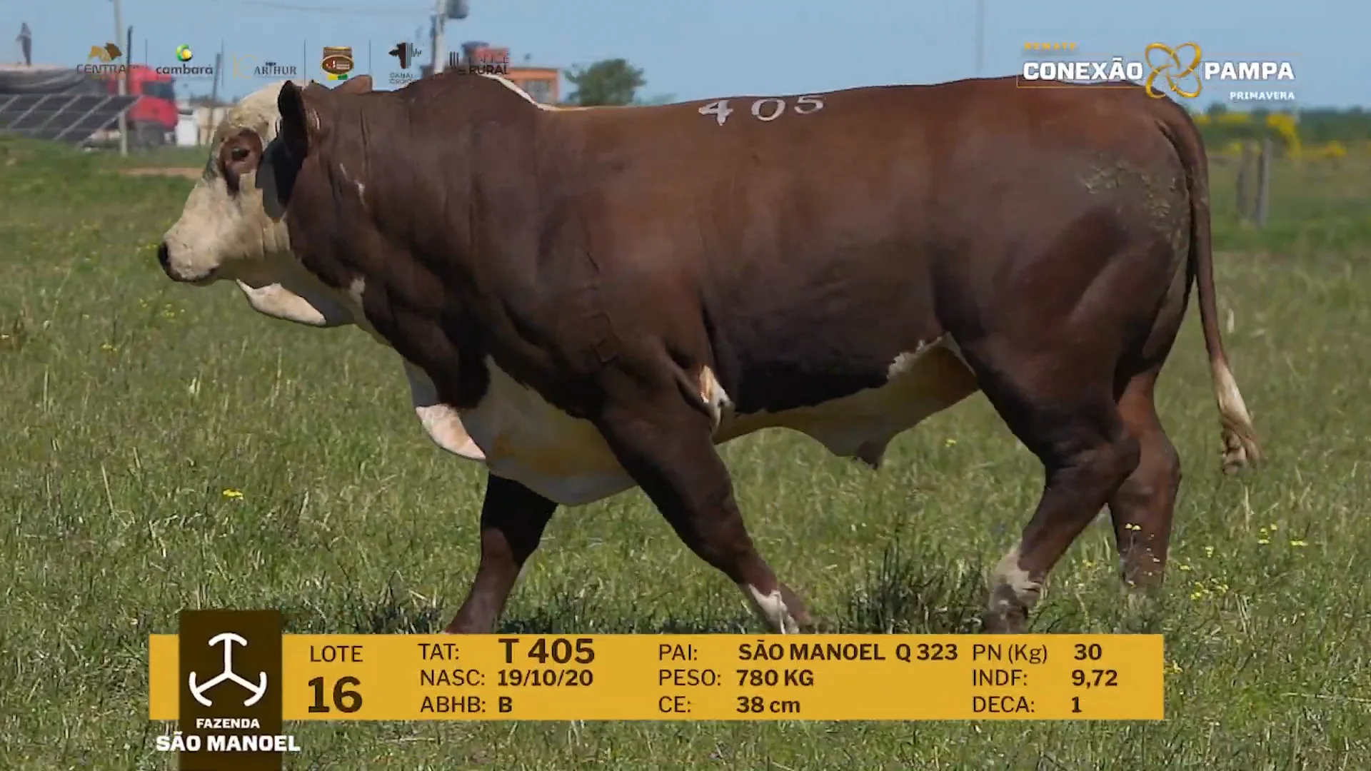 LOTE 016 SÃO MANOEL on Vimeo