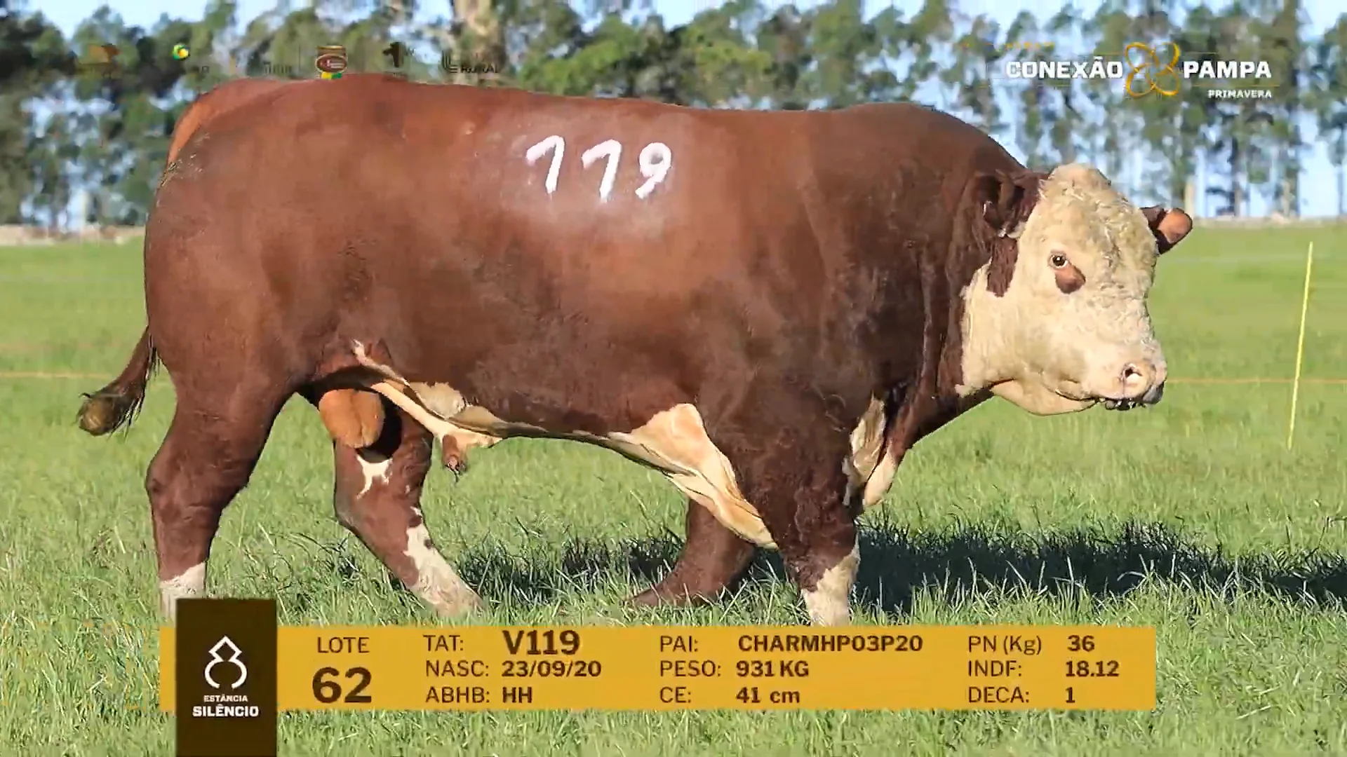 LOTE 062 SILÊNCIO on Vimeo