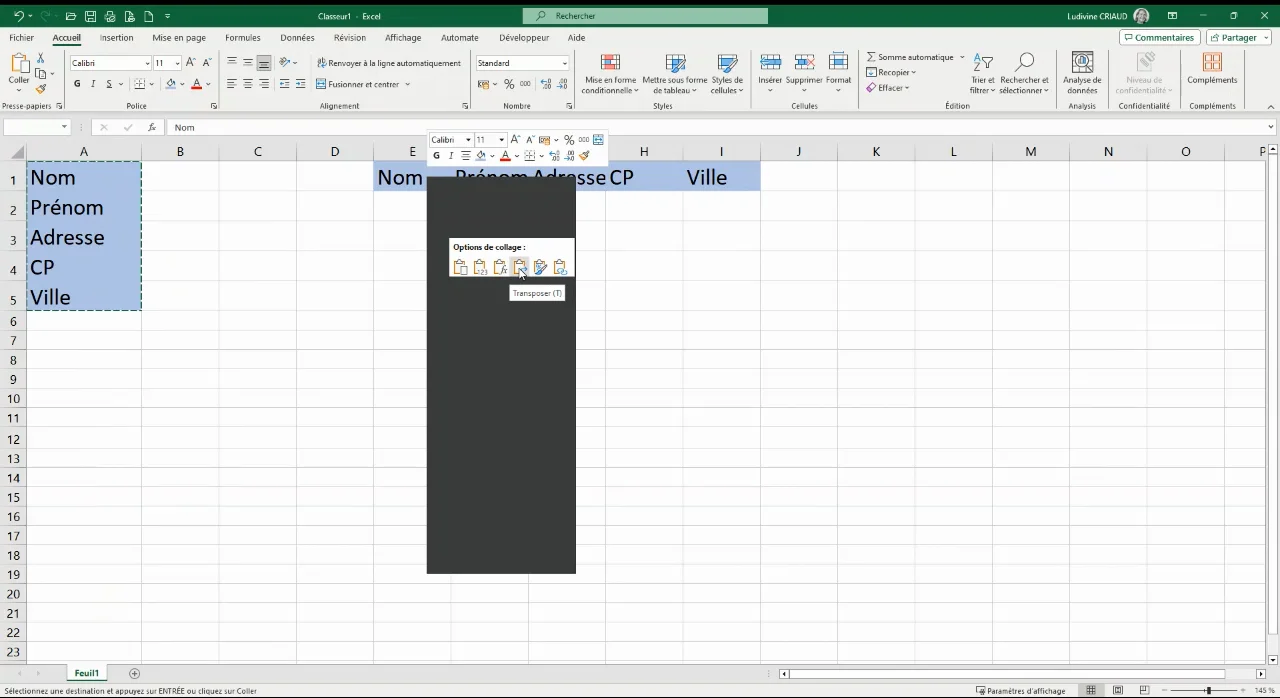 Transposer_Excel on Vimeo