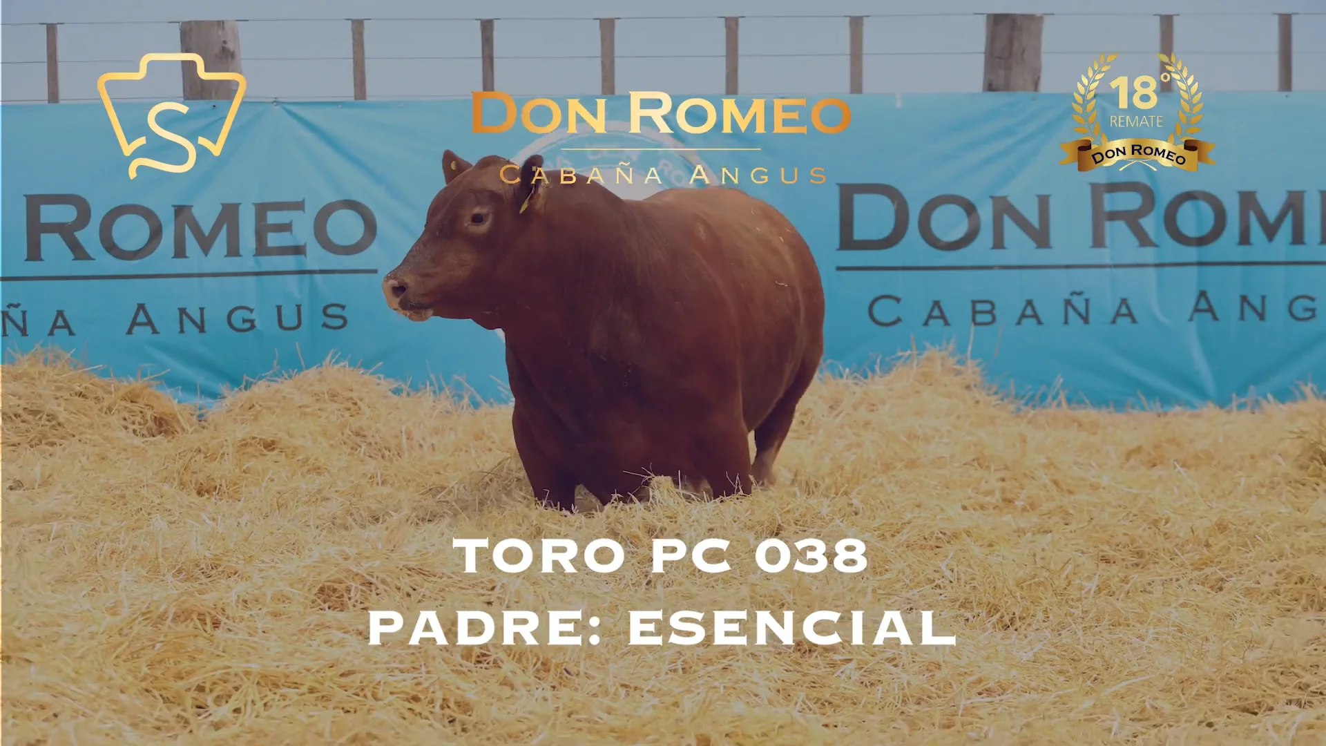 TORO PC 038 on Vimeo