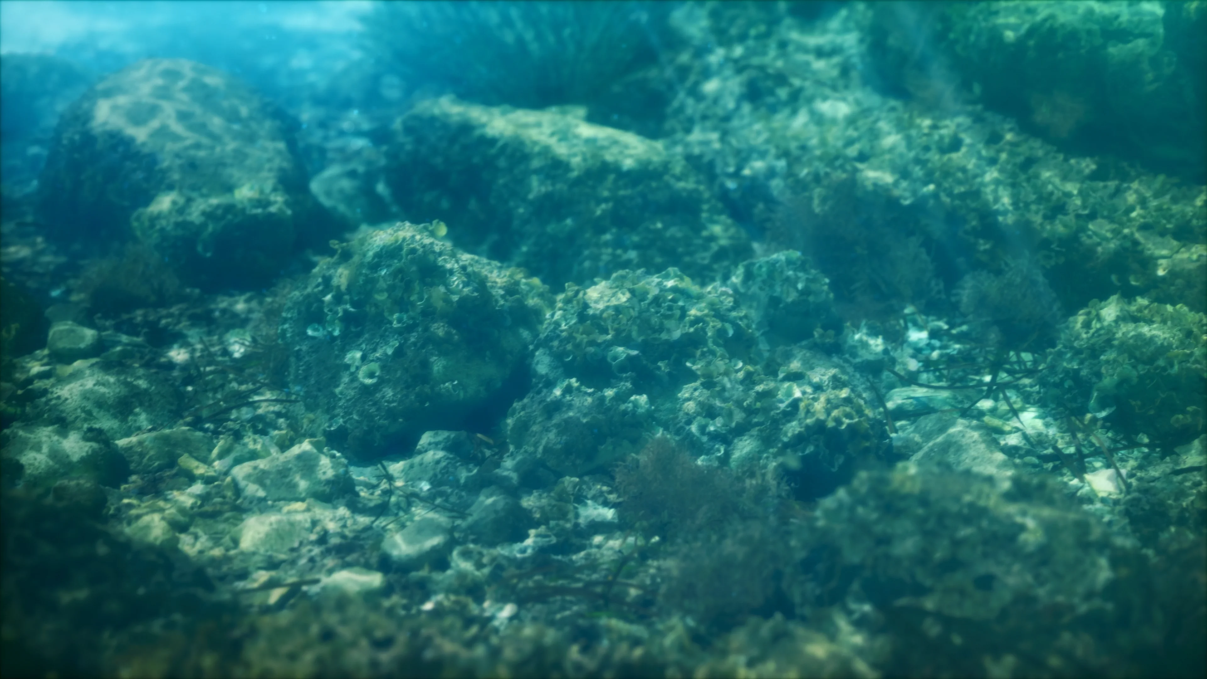 Underwater Coast on Vimeo