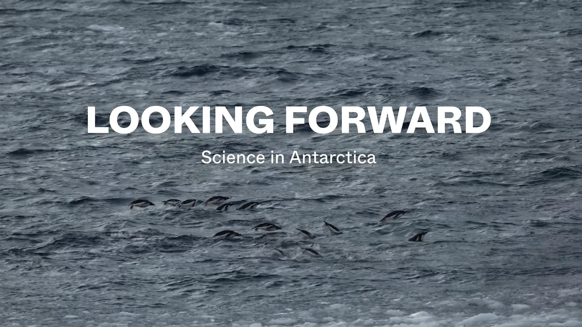 Looking Forward on Vimeo