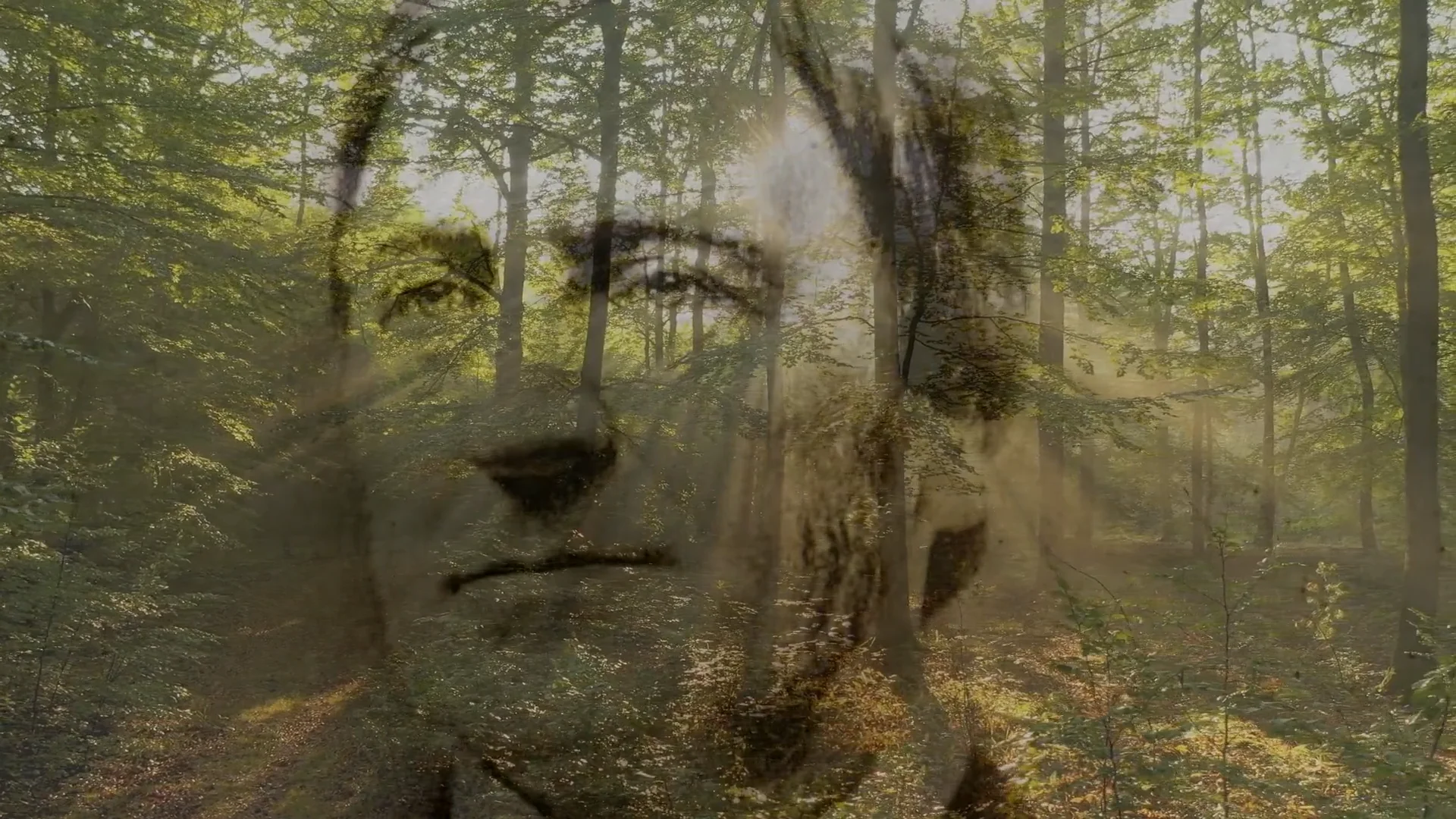 Ralph Waldo Emerson: Give All to Love on Vimeo