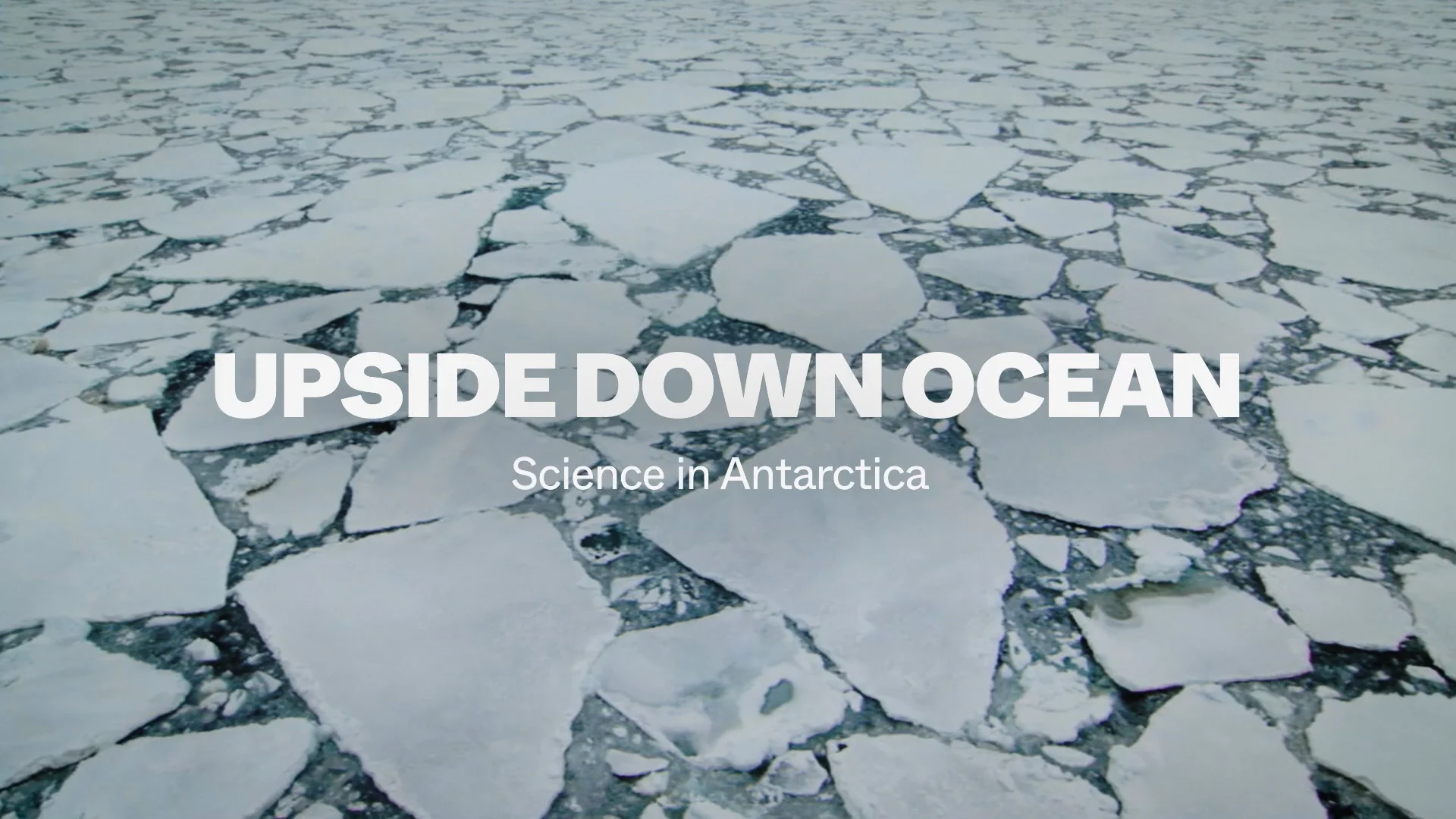 Upside Down Ocean on Vimeo