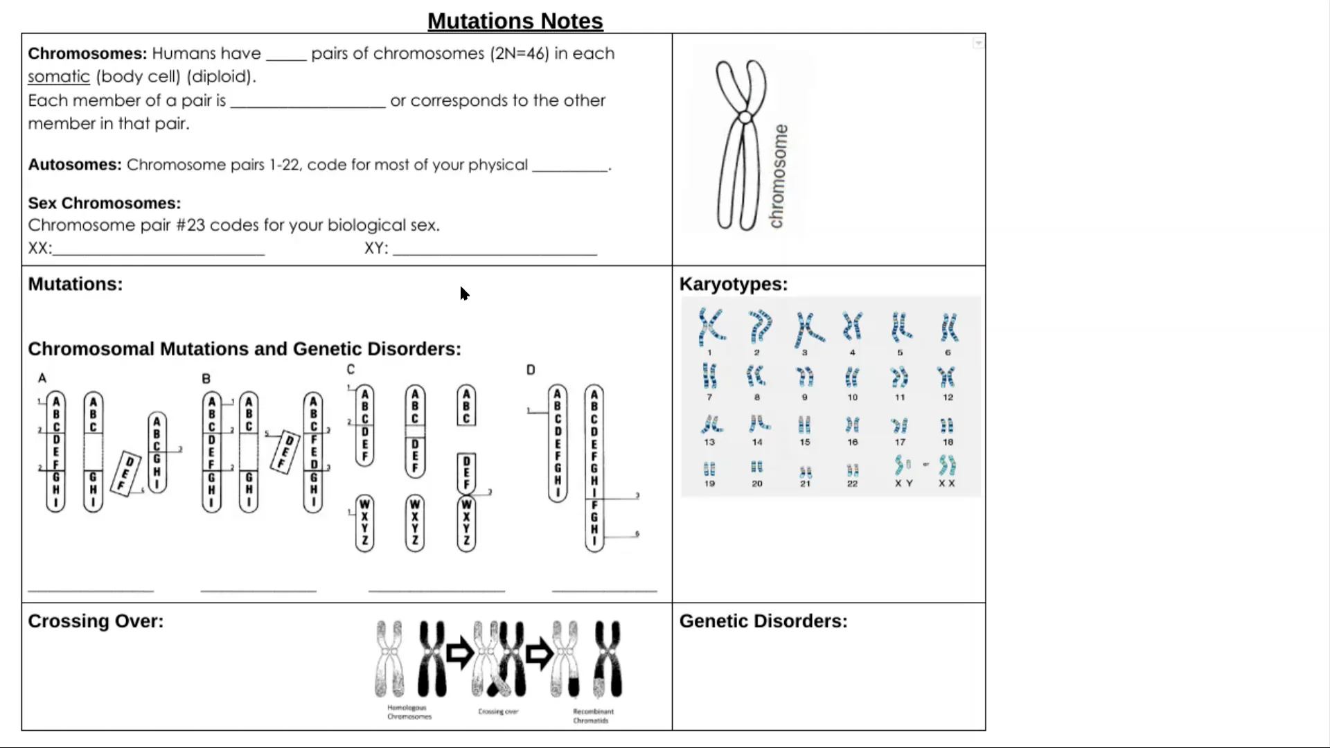Mutations notes video on Vimeo