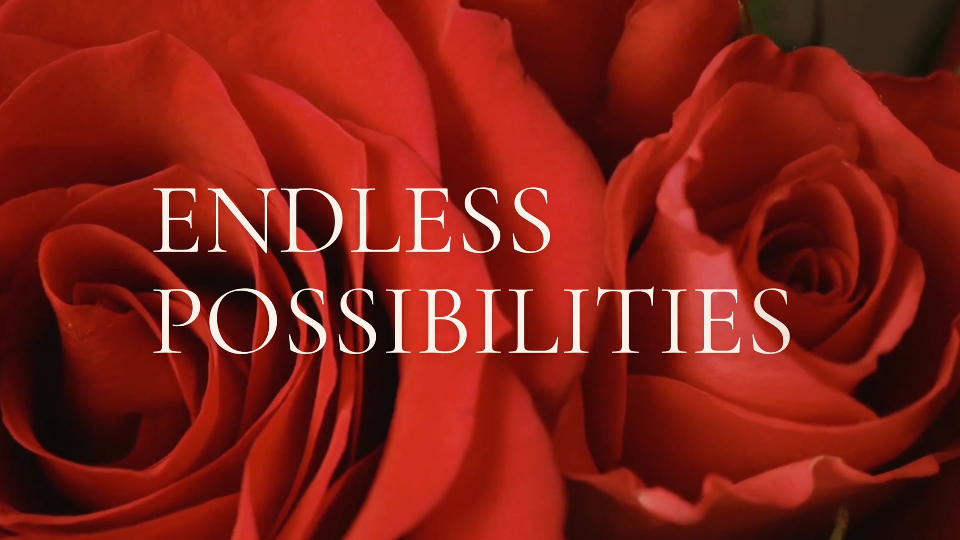 ISRAELI & ITALIAN RUSCUS