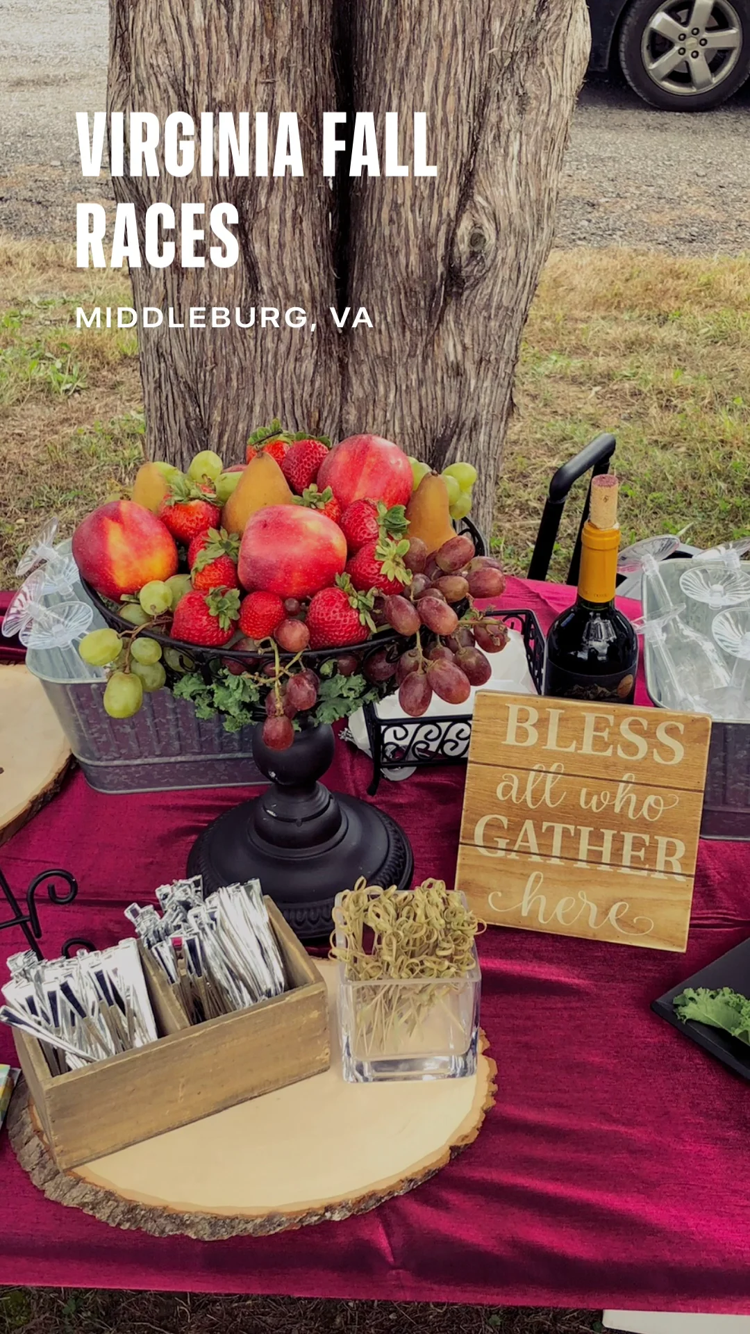 Virginia Fall Races on Vimeo