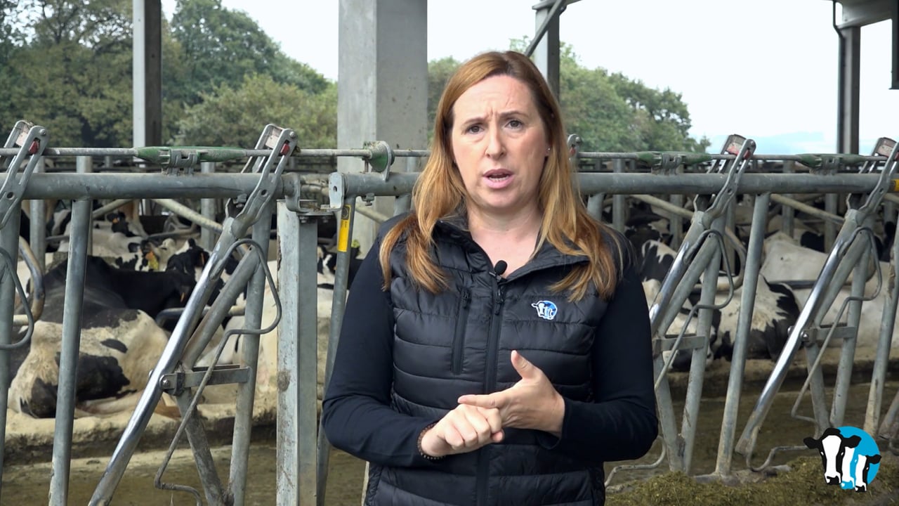 Presentación da charla de Ana Rama | Revista Vaca Pinta | En Galego