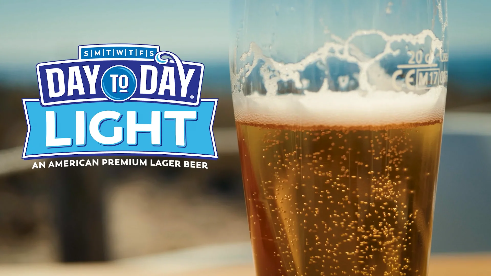 Day To Day Light Beer :15 sec Ad - Jack on Vimeo