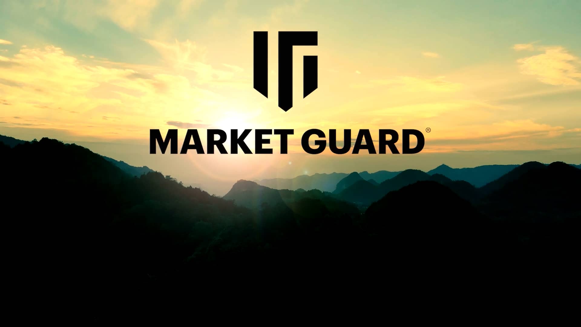 Market Guard on Vimeo