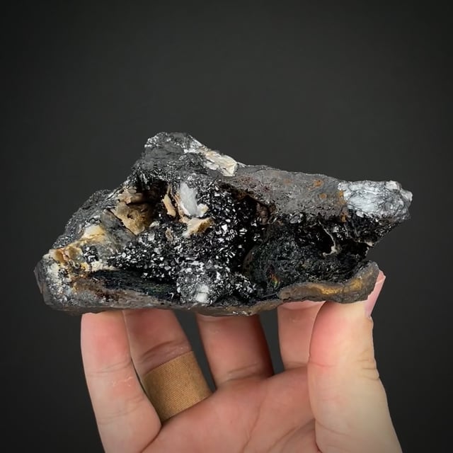 Kurt Hefendehl Collection Auction!