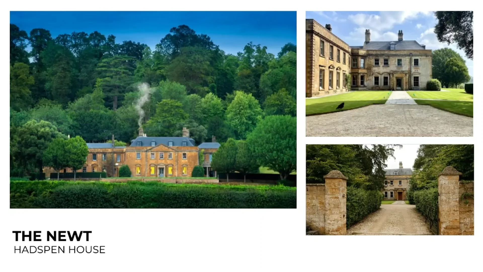 The Newt Interactive Map Walkthrough. on Vimeo