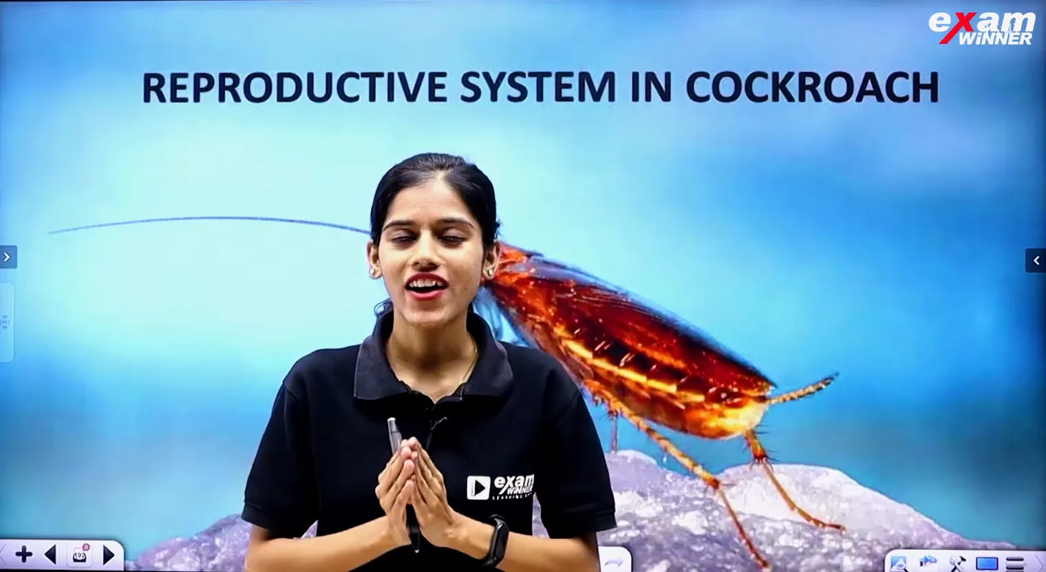 16. frog REPRODUCTION on Vimeo