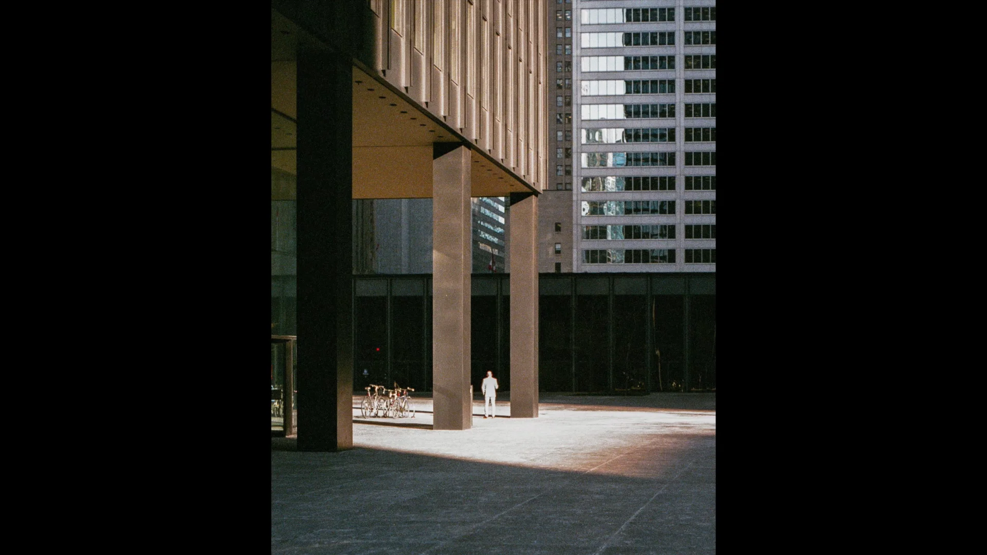 Sameer Jafar, No notifications, 2019