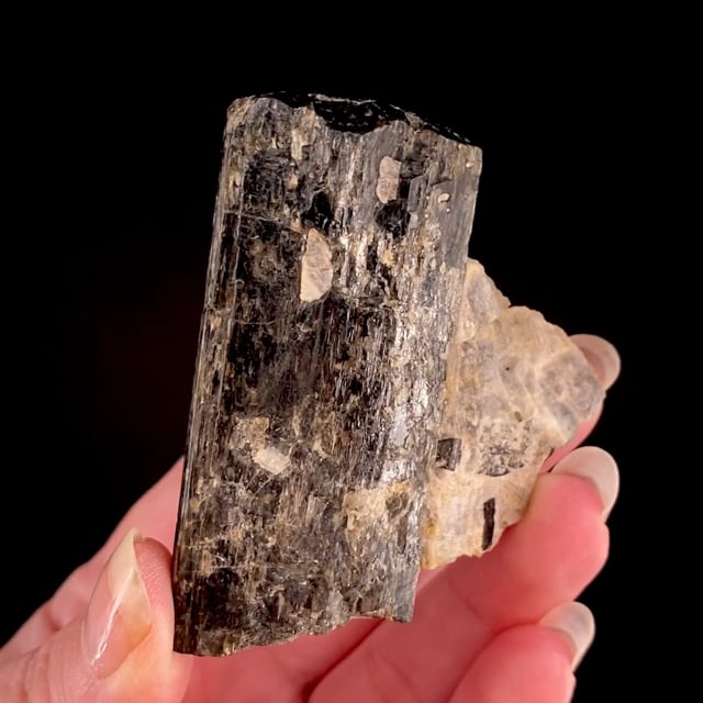 Fluoro-richterite | Wilberforce area, Haliburton Co., Ontario, Canada