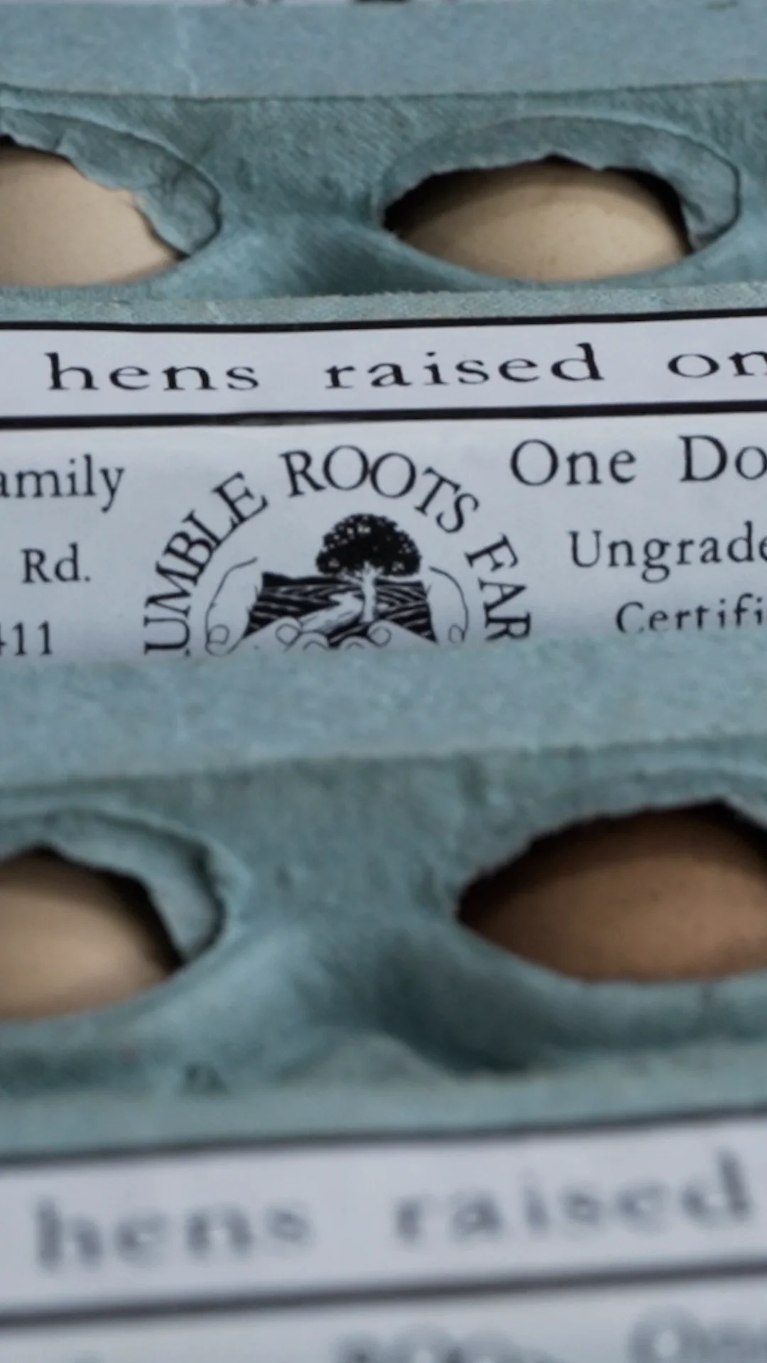 wilmington_foodies_9x16 (Original) on Vimeo