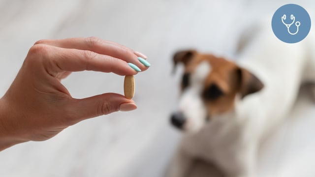 Centralcpd on-demand