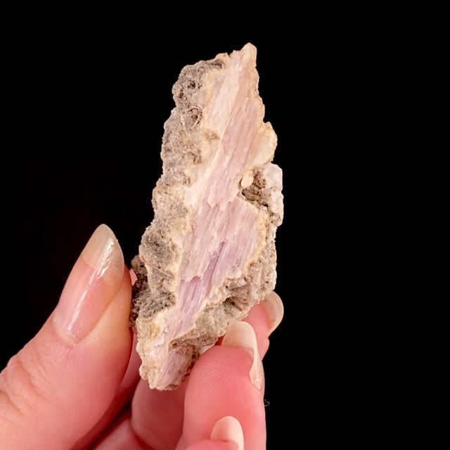 Mendipite (extremely rare) | Torr Works Quarry, Cranmore, Mendip ...