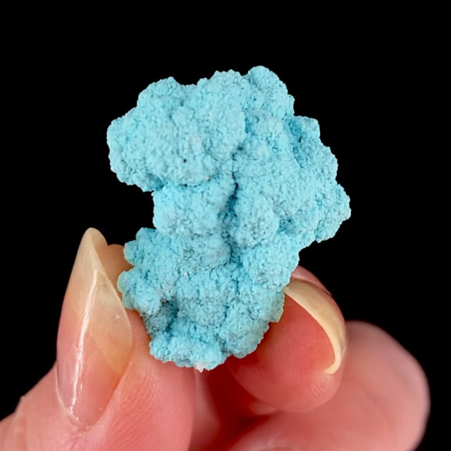 Turquoise (fine thumbnail) | Mineral Park Mine, near Kingman, Mohave Co ...