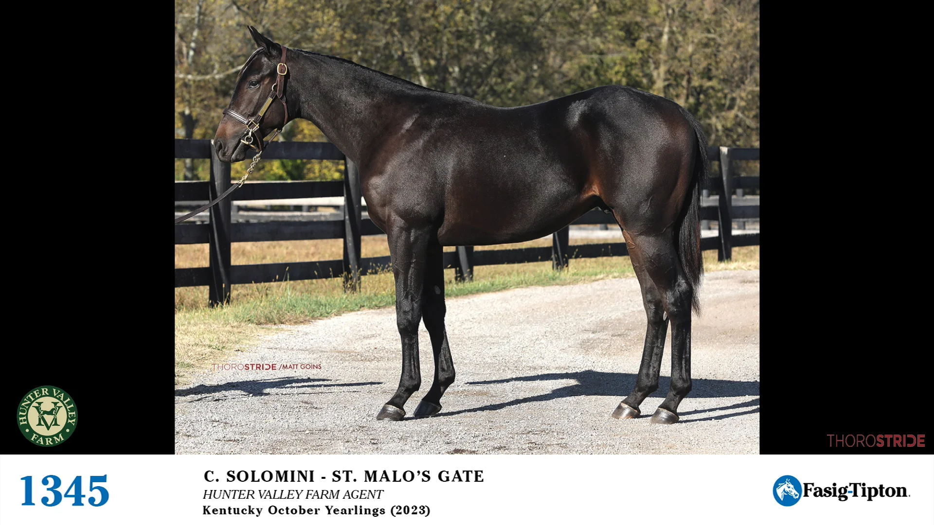 FTKOCT23_1345_St. Malo's Gate 22 on Vimeo