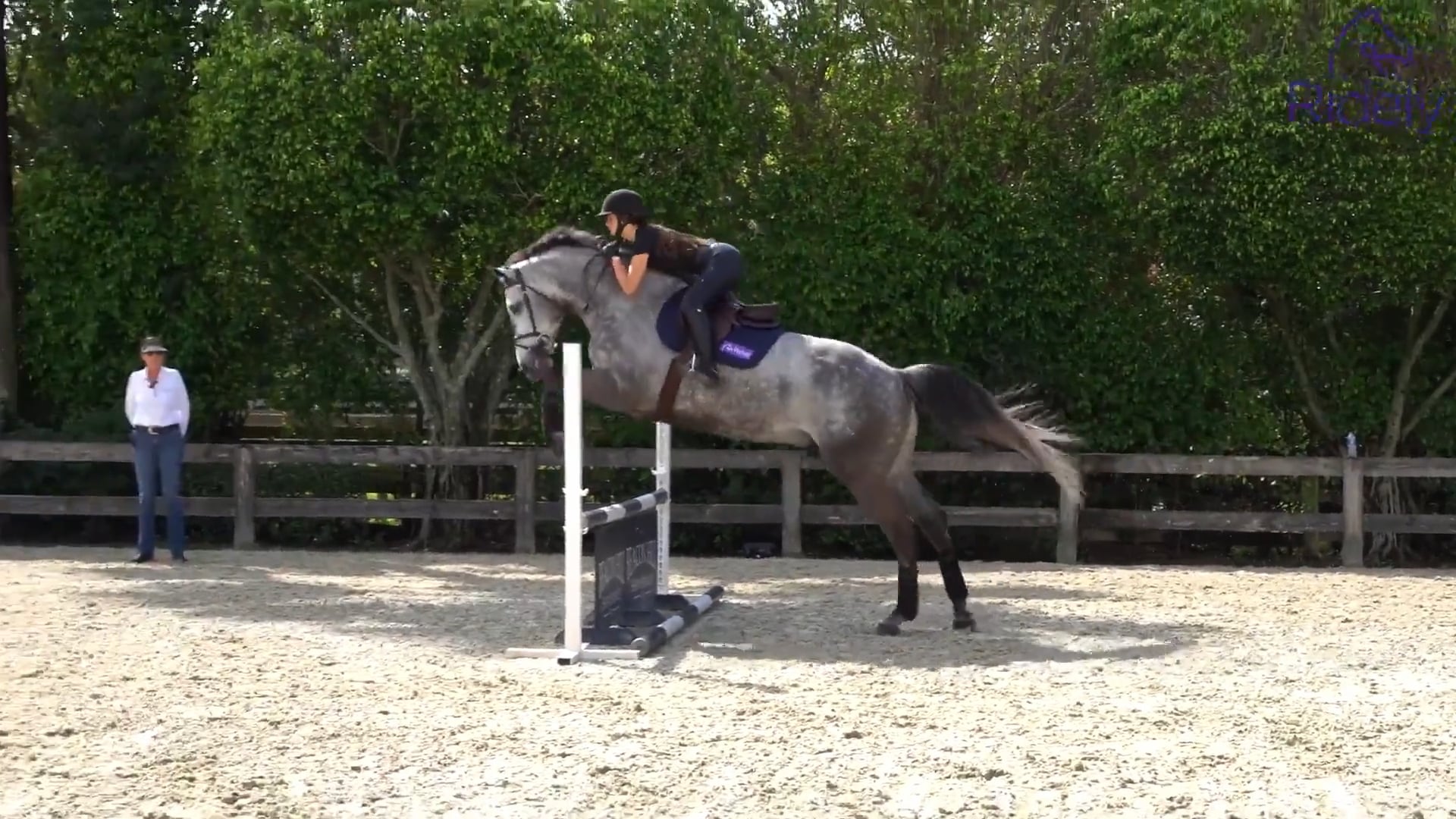 Counter Canter on Approach to a Fence | Ridely