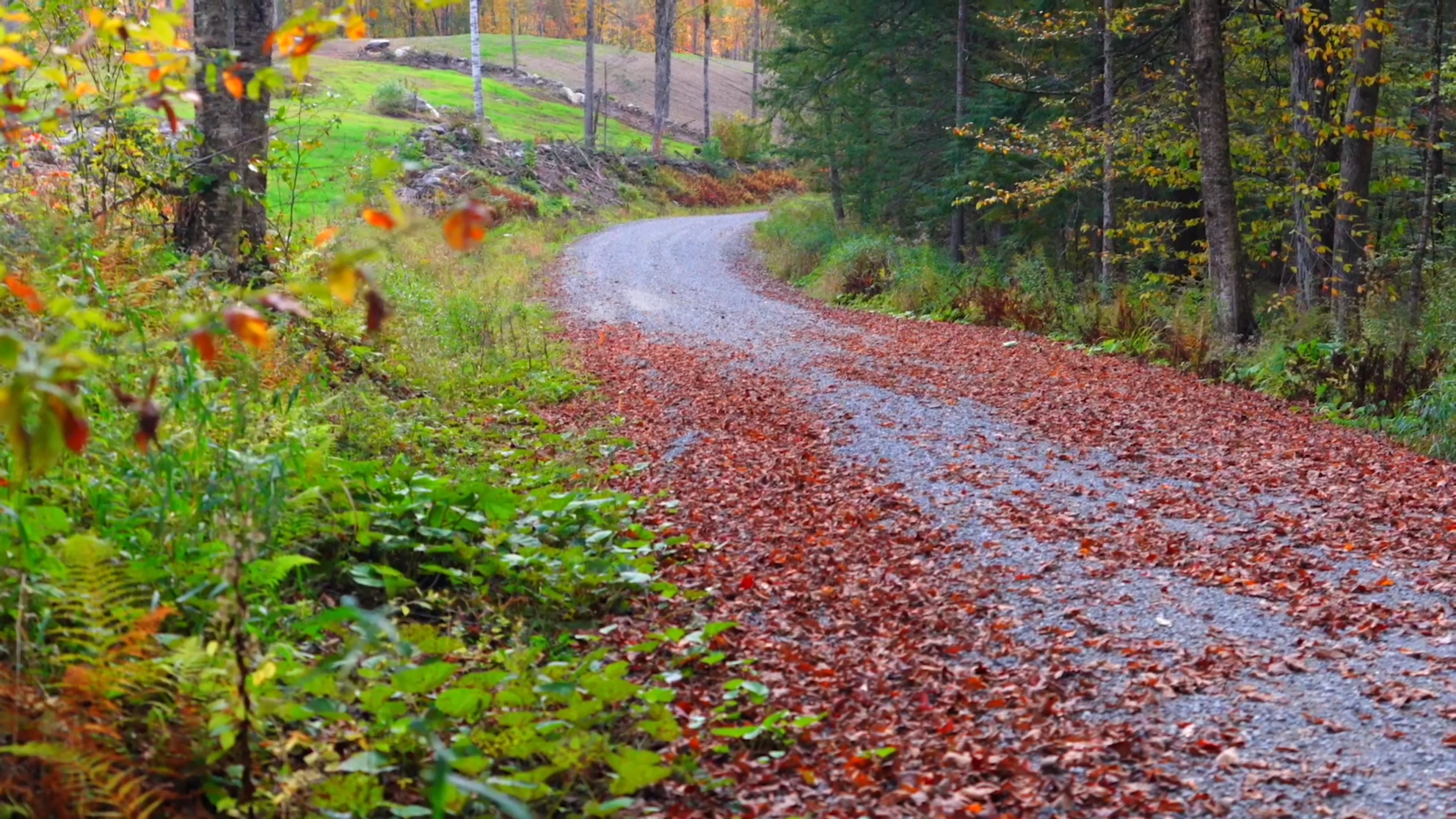 389 Cobble Hill Rd, Londonderry, VT