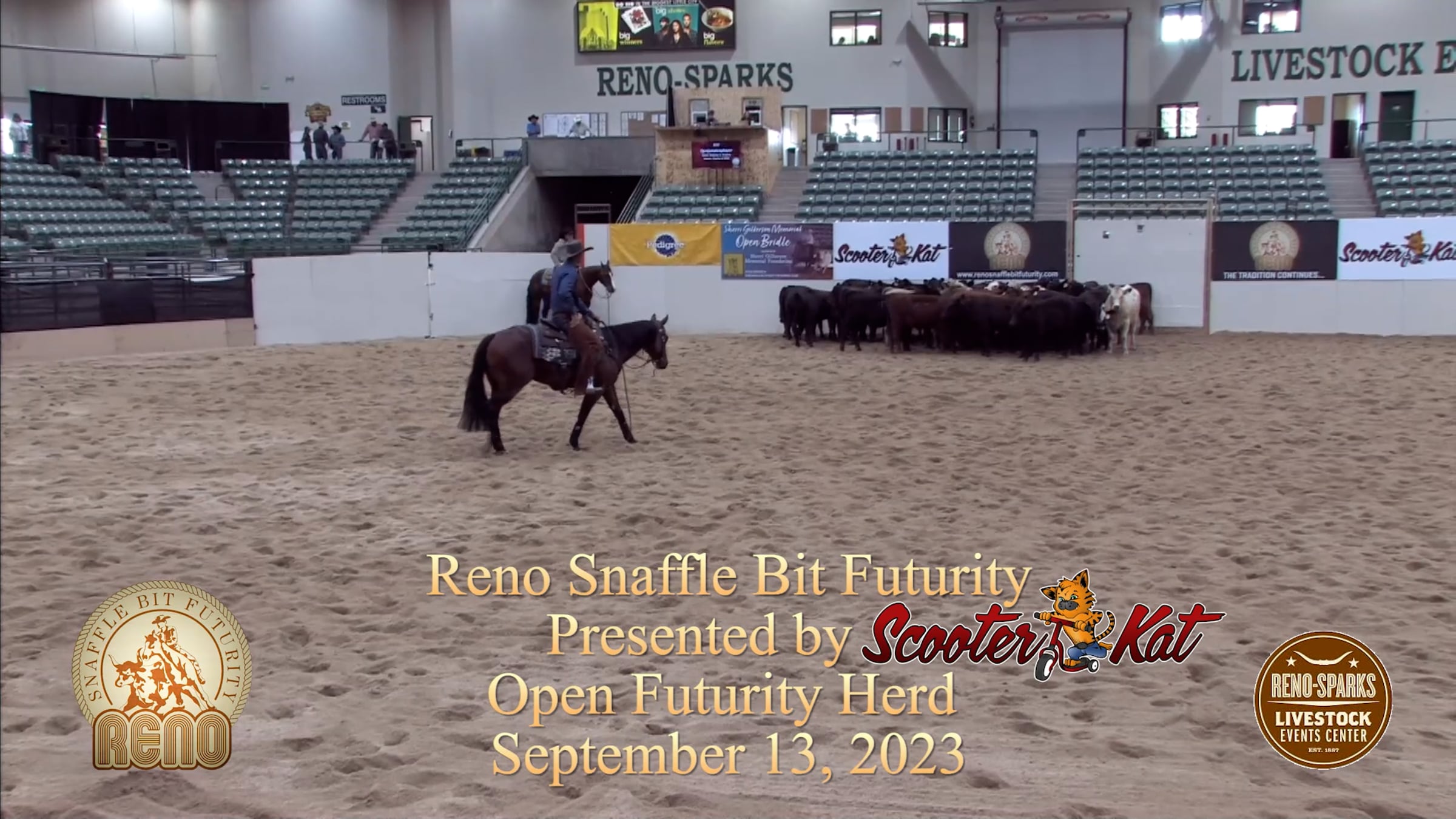 QueJanaIsaPlayer & Nick Dowers ~ 2023-09-13 ~ RSBF ~ Open Futurity Herd ...