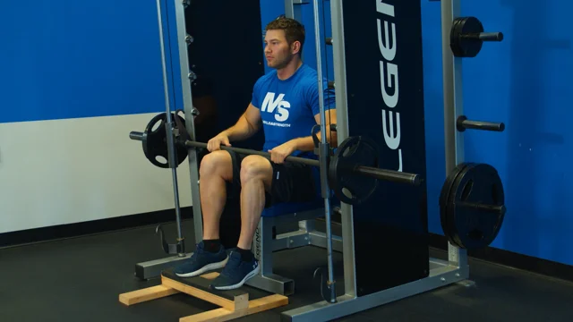 Seated Calf Raise Smith Machine Best Quality | www.pinnaxis.com