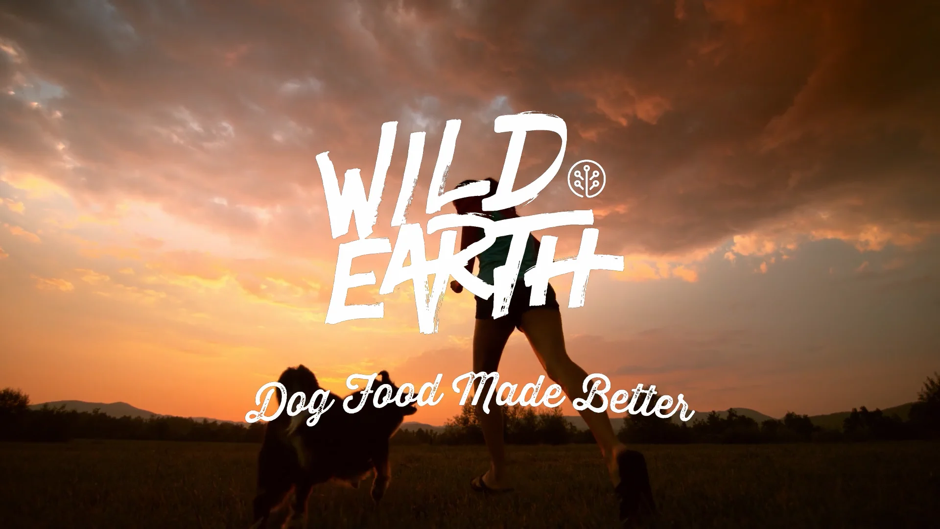 Wild Earth Case Study on Vimeo