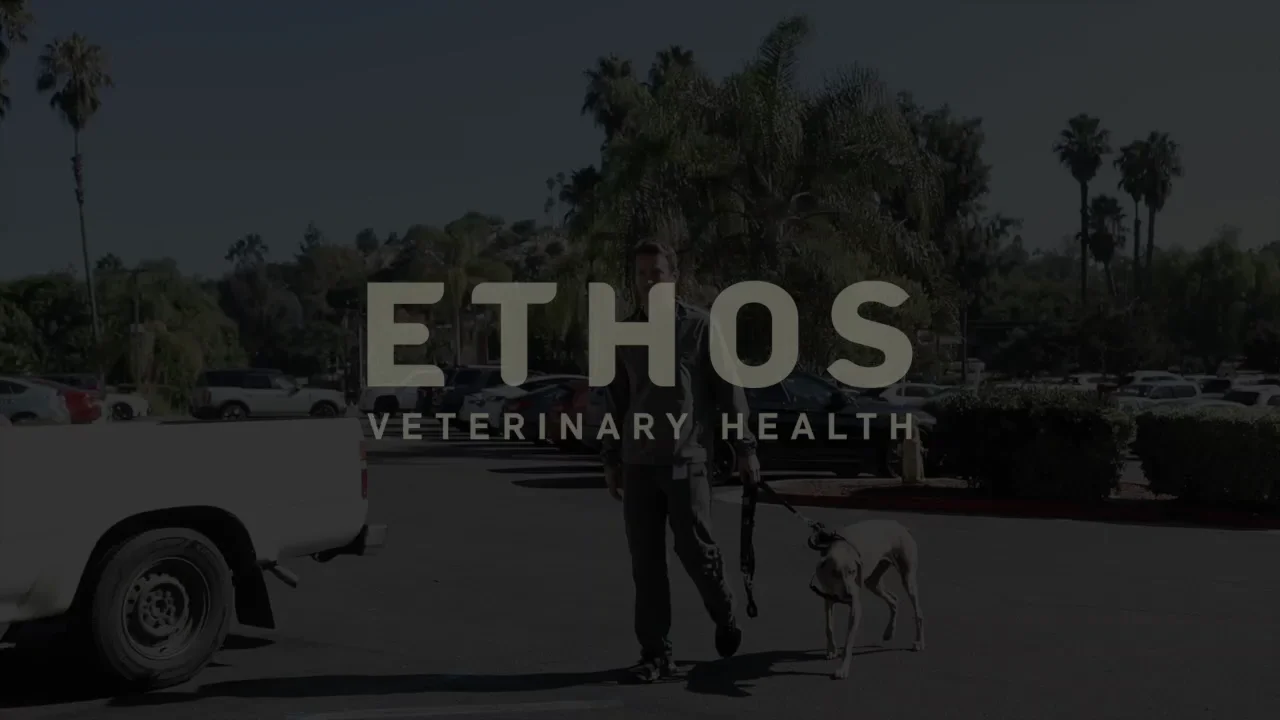 ETHOS DRAFT 2 on Vimeo