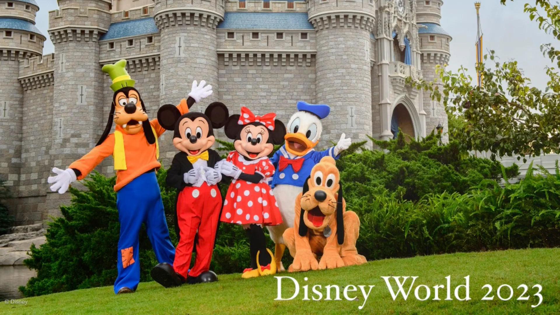 Spyros/Grillo Family Disney Trip on Vimeo