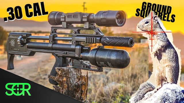 .30 CAL GROUND SQUIRREL SMACKDOWN! - Western Sidewinder Mini - Airgun101