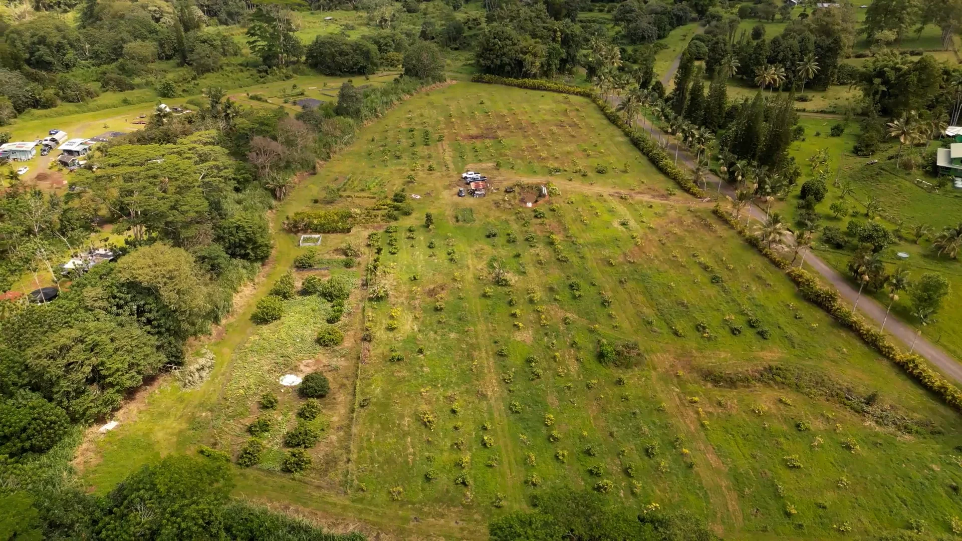13.69 Acres on Homestead Road in Pahoa, Hawaii TMK 3-1-5-5-4 on Vimeo