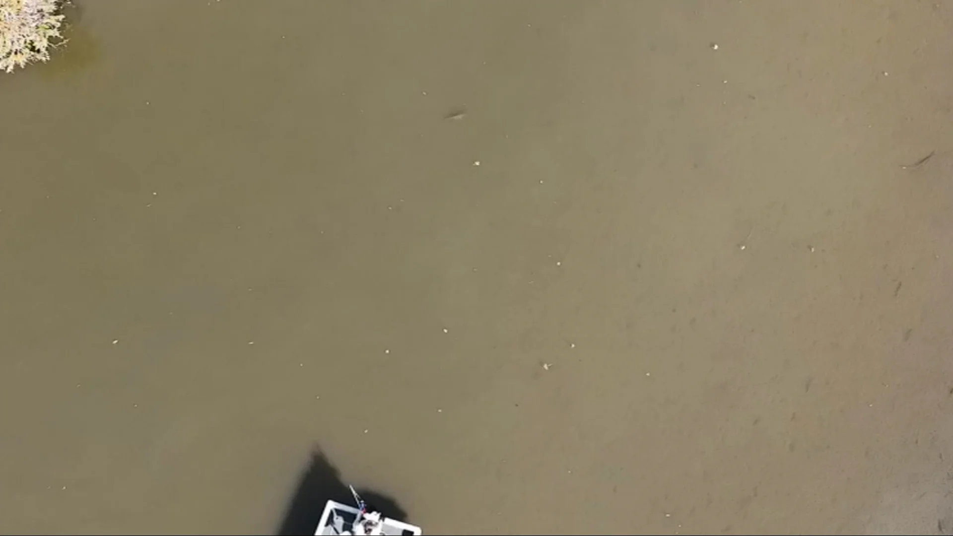 Daytime Bow Fishing on Vimeo