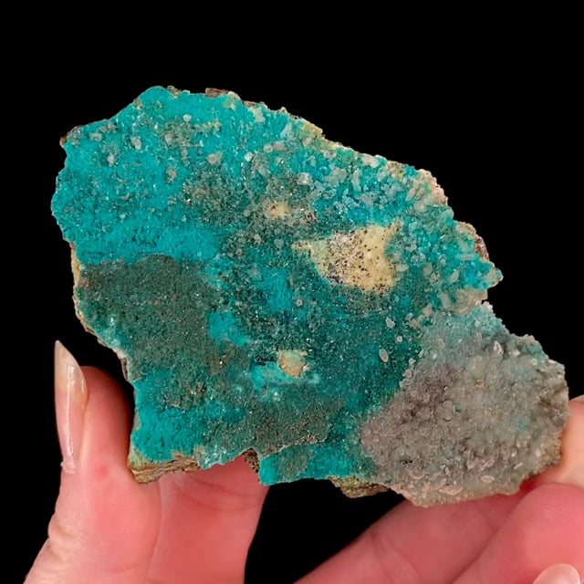 Dioptase (rare locality specimen) | Blue Bell Mine, Zzyzx, Soda Mts ...