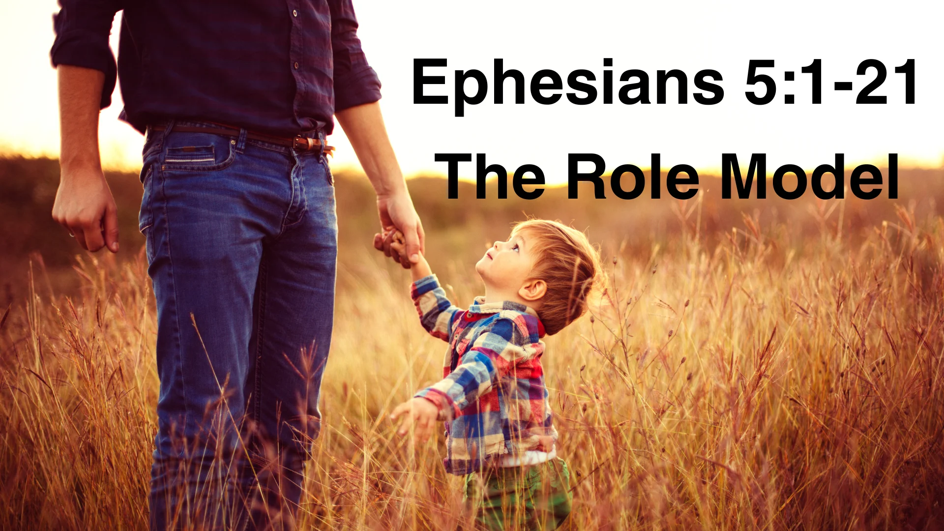 Sunday, October 22, 2023 on Vimeo