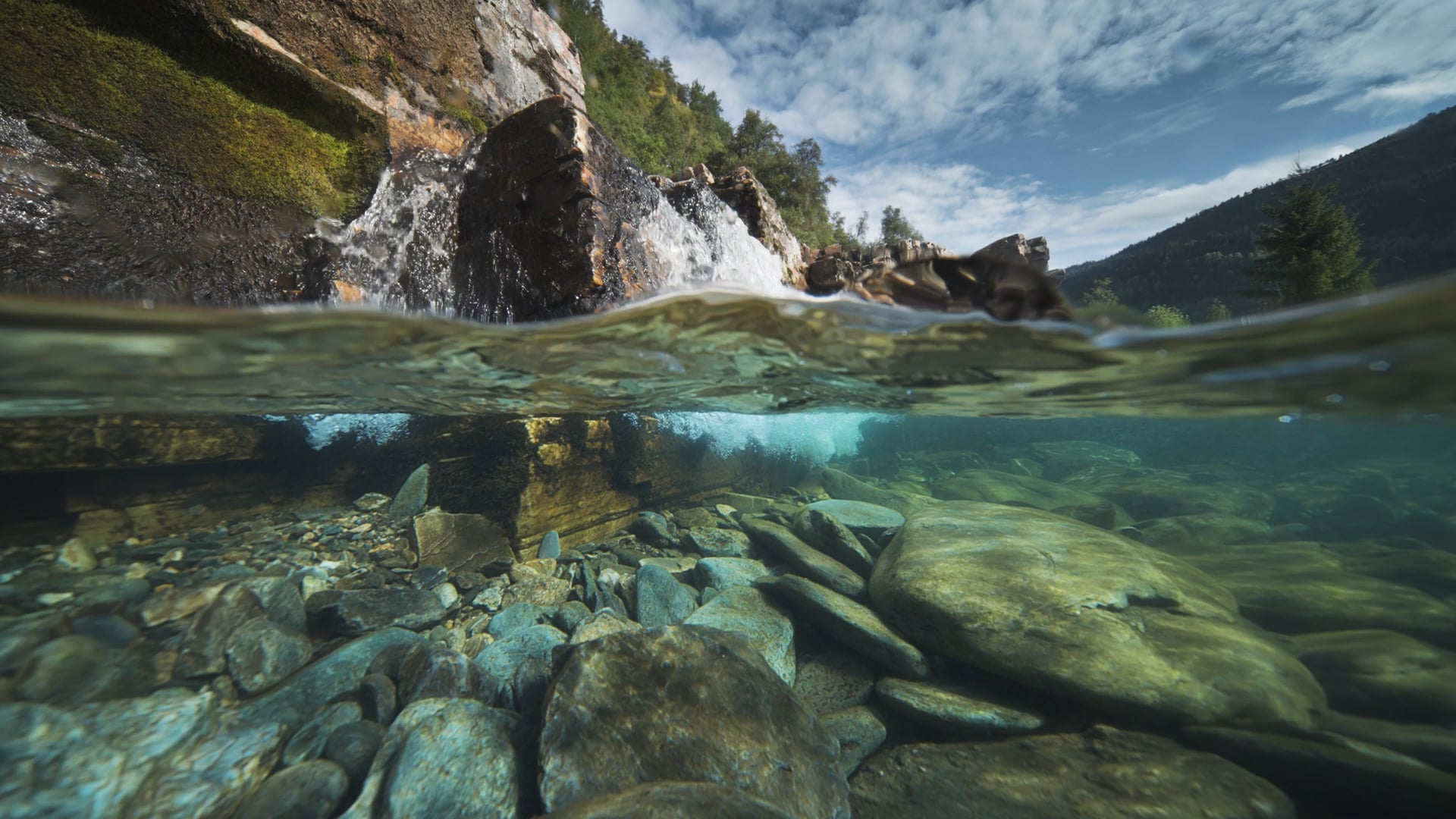 Salute 406 - Made In Missoula, Montana