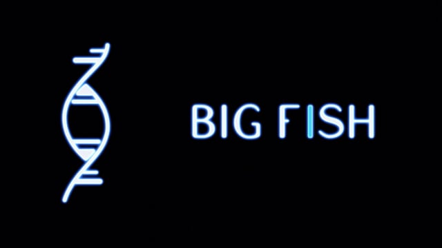 Hangzhou Bigfish Bio-tech Co., Ltd. de Fuyang, Anhui en el MEDICA 2023 en Düsseldorf