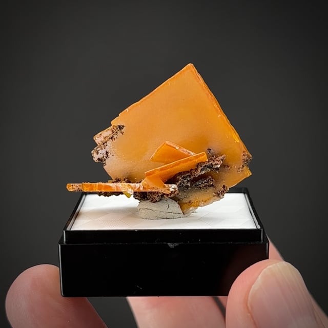 Wulfenite - STOUDT-26 - Los Lamentos Mts. - Mexico Mineral Specimen