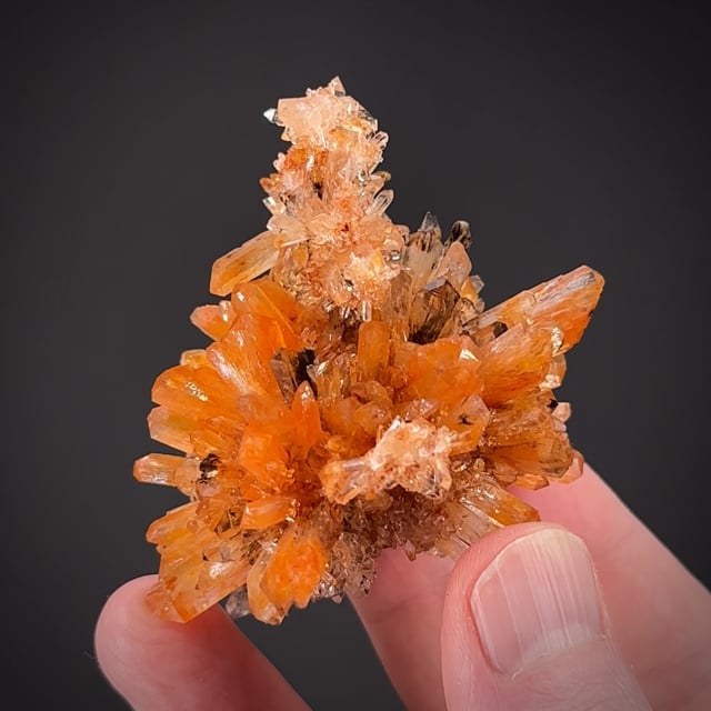 Creedite - STOUDT-32 - Navidad Mine - Mexico Mineral Specimen