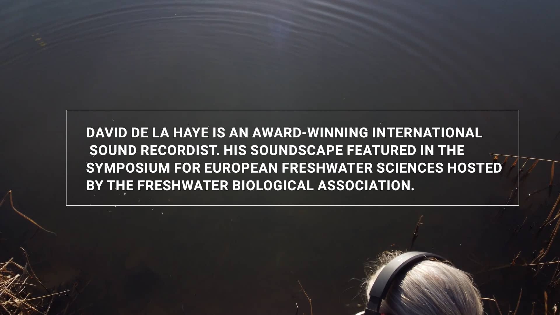 Sonic Pond Dipping with David de la Haye on Vimeo