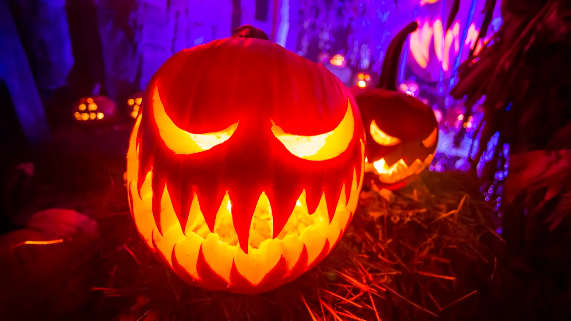 Haunted Overload Promo on Vimeo