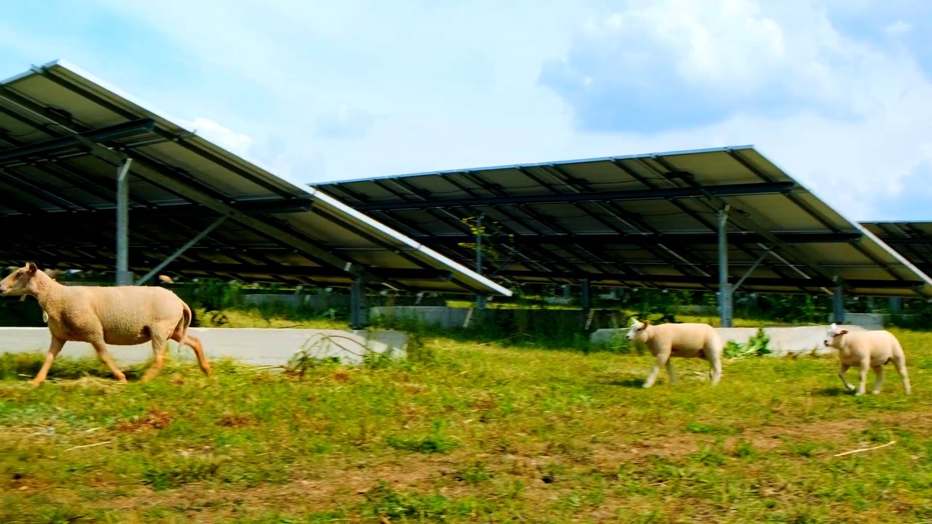 Virginia Solar Summit - Solar Energy, Solar Power Conference