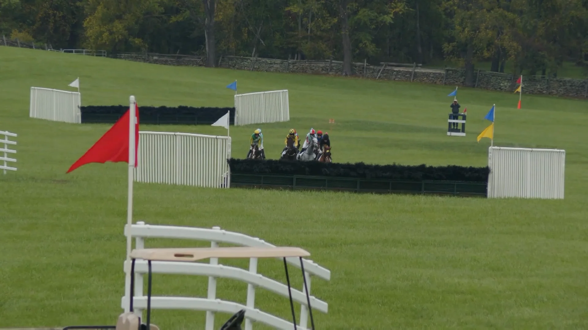 Virginia Fall Races October 14 - Virginia Fall Races - October 14 -Race ...