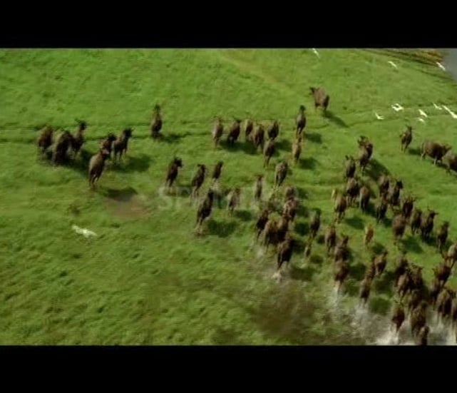 Sri Lanka Tourism (TVC) on Vimeo