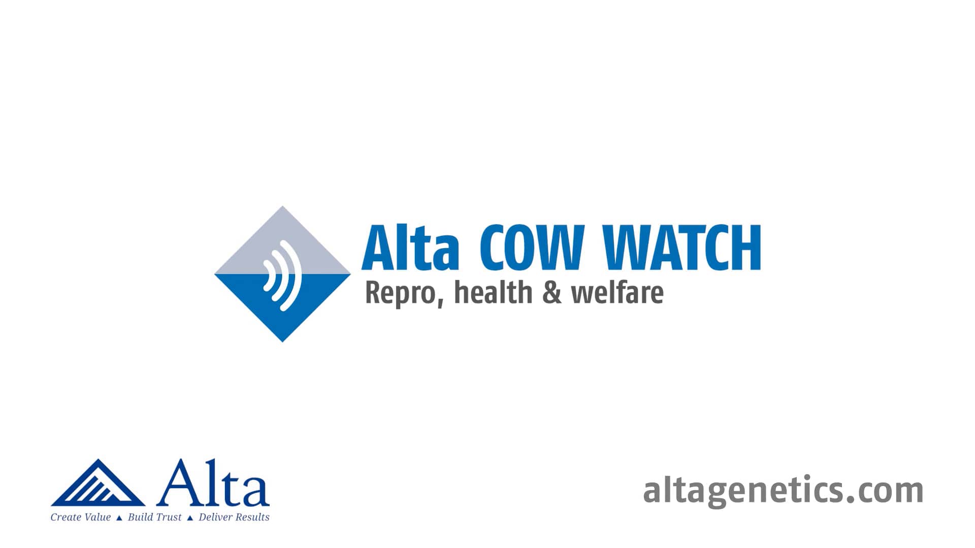 Alta COW WATCH | Westerkamp, Germany (English) on Vimeo
