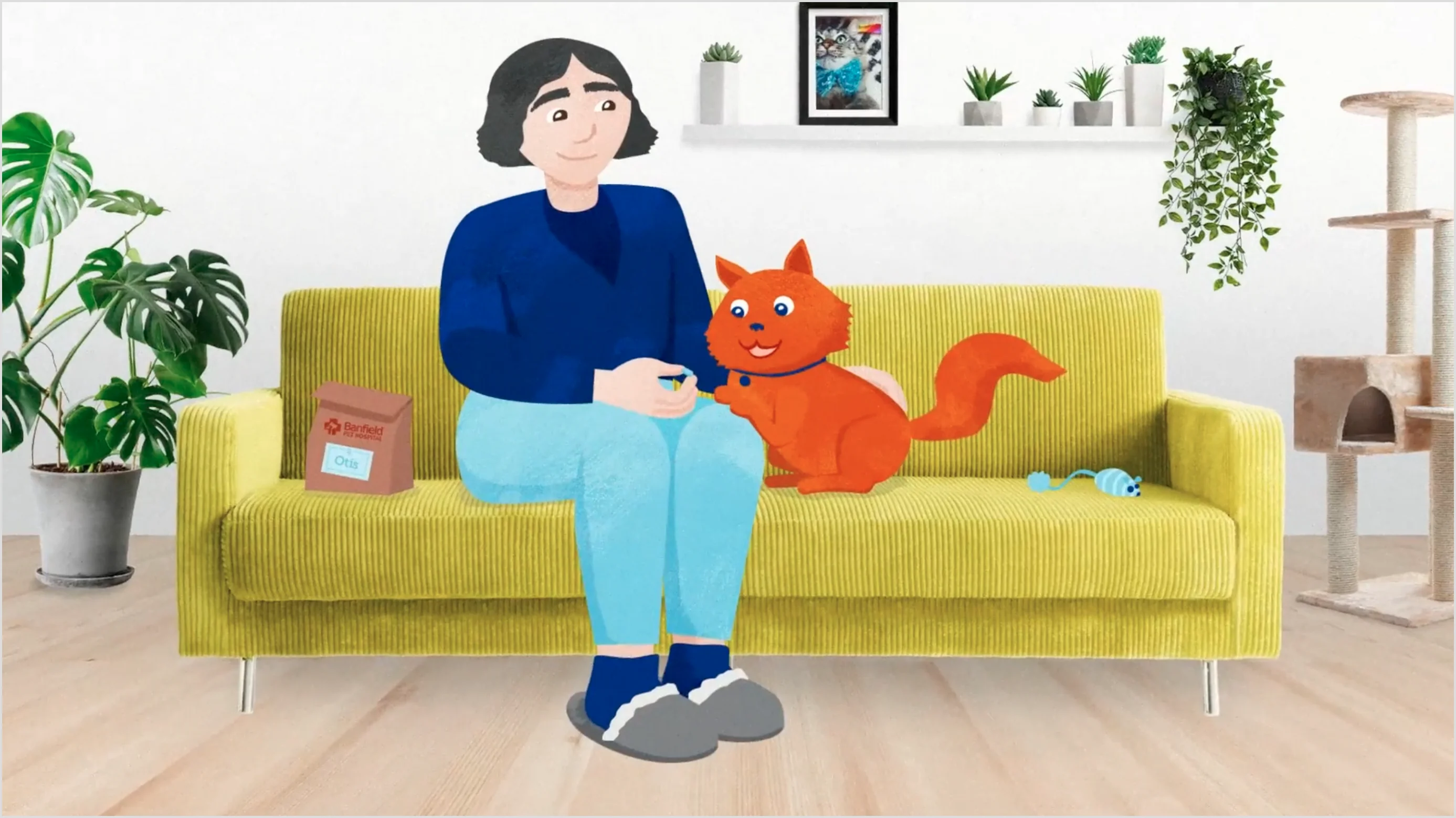 Pet prescriptions on Vimeo