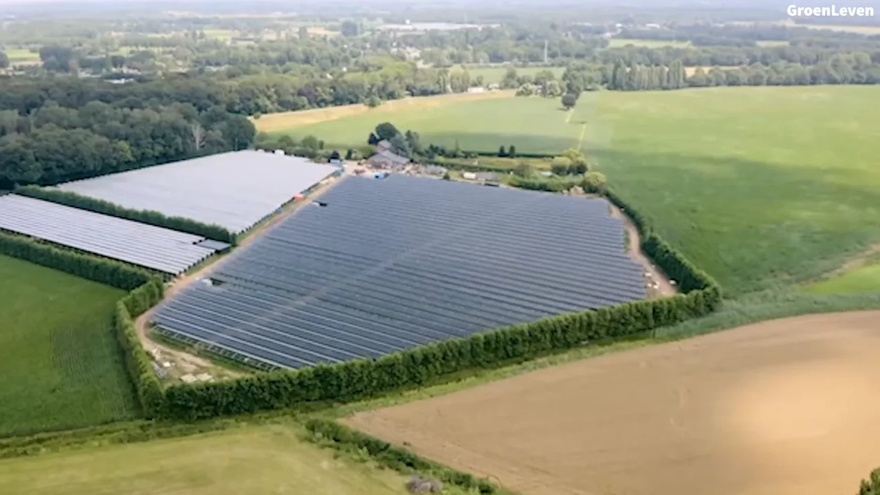 Solar Panels + Farming_ Agrivoltaics Explained